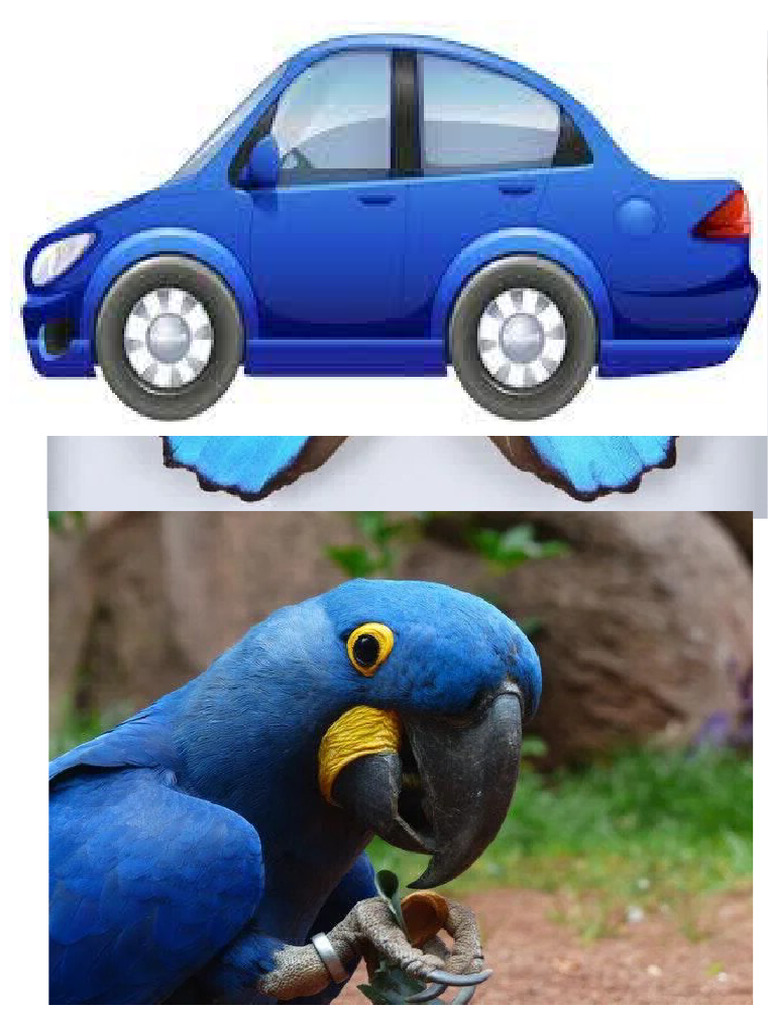 Imagens para Cartaz (Azul) | PDF