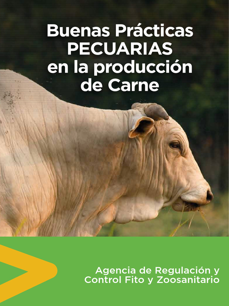 Guía de Buenas Prácticas Pecuarias en La Producción de Ganado Bovino de Carne Jul | PDF | Ecuador