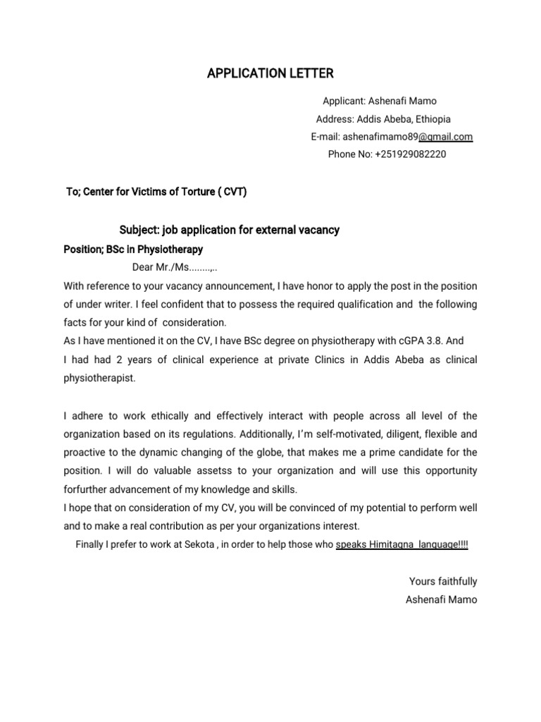 APPLICATION LET CVT of Ashu 2 | PDF