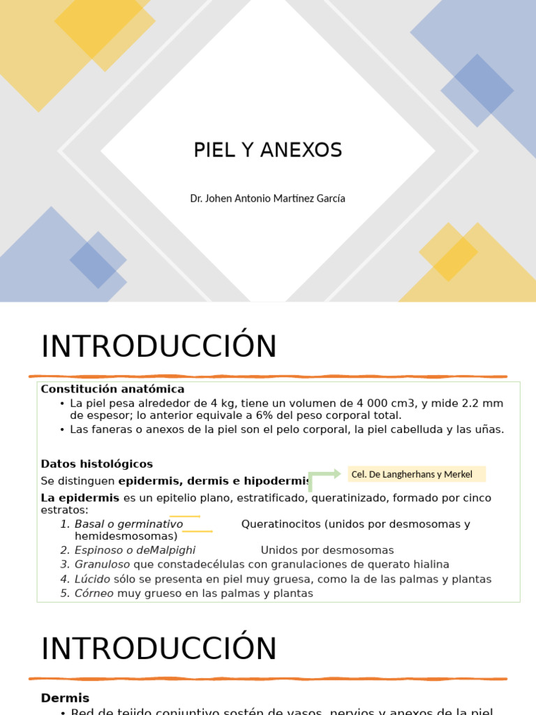 Dermatitis Atopica, Numular, Contacto | PDF | Piel | Dermatología