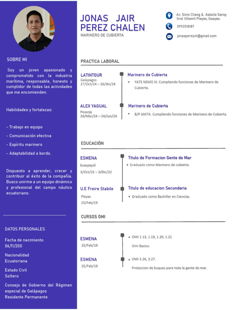 CV Jonas Perez 2025 | PDF