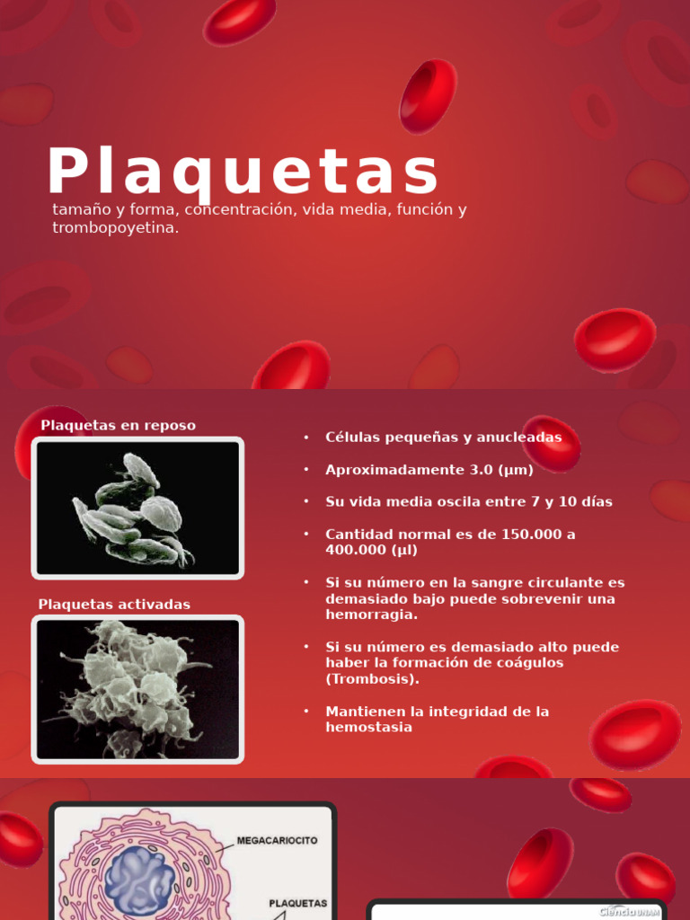 Apresentación - Plaquetas | PDF