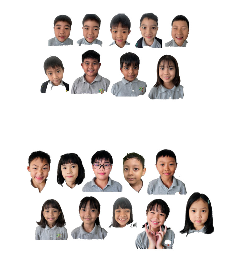 Students Faces | PDF
