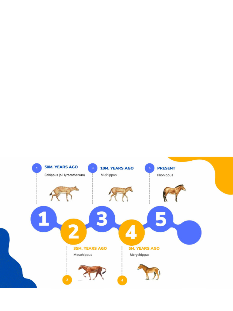 Evolution of the Horse: Key Milestones | PDF
