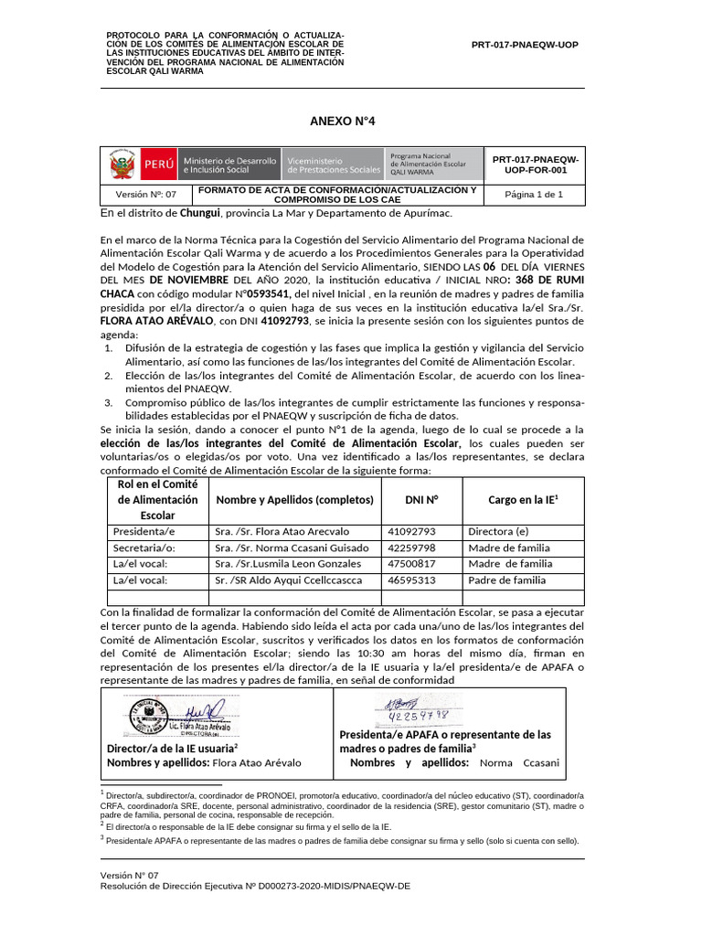 Formato de Conformacion Del Cae 2021 | PDF