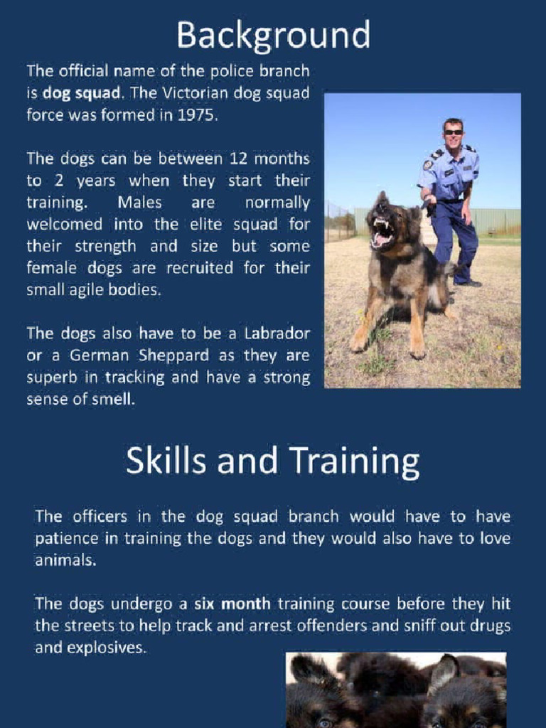 Dog Squad | PDF