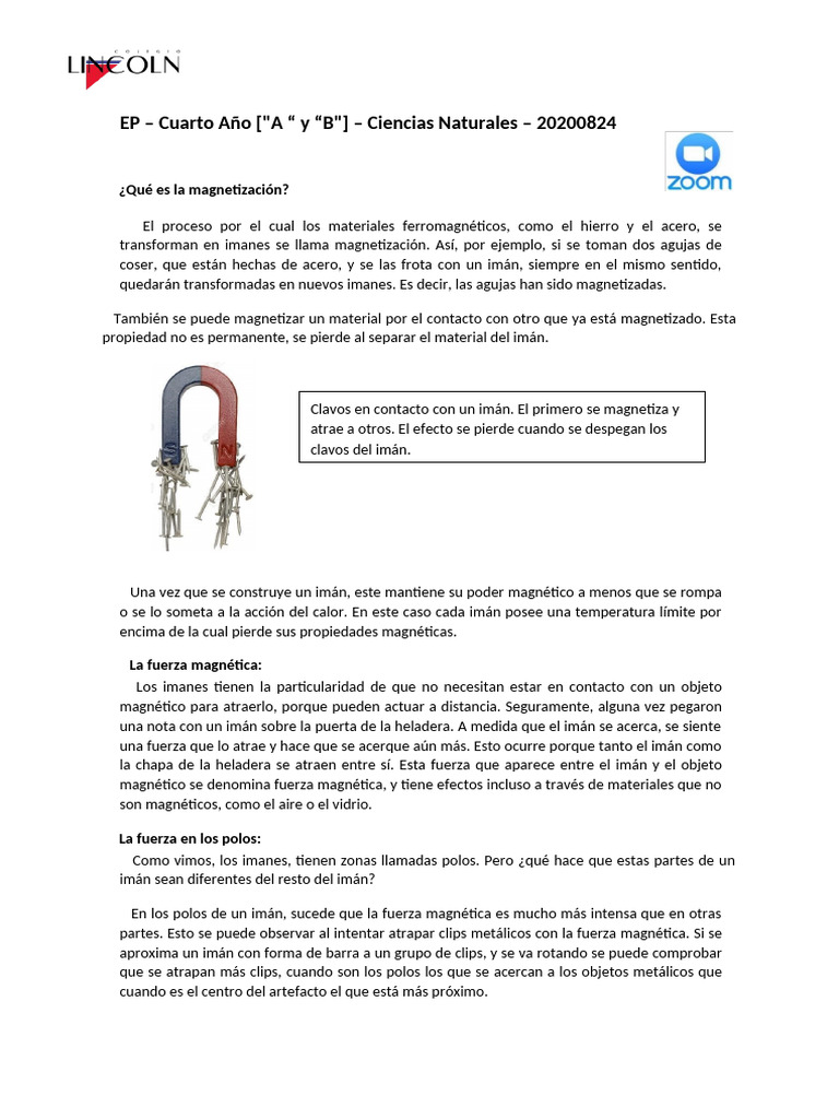 Magnetización y Fuerza Magnética en Imanes | PDF | Imán | Magnetismo