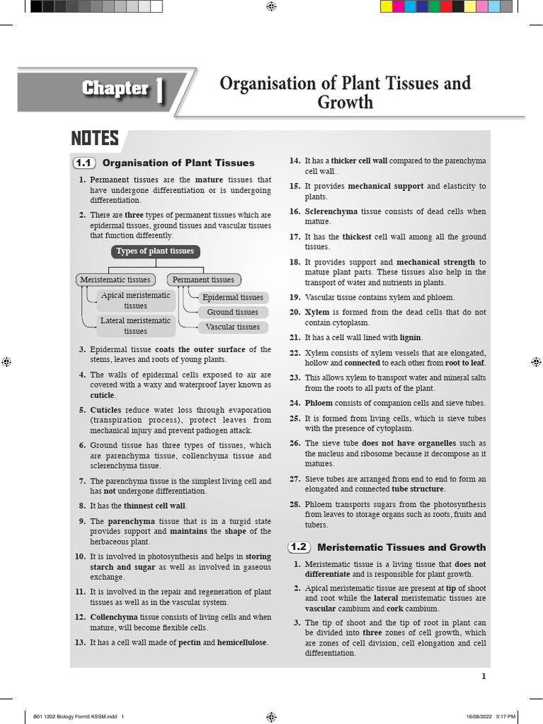 B01 1202 Biology Form5 KSSM | PDF | Tissue (Biology) | Plant Stem