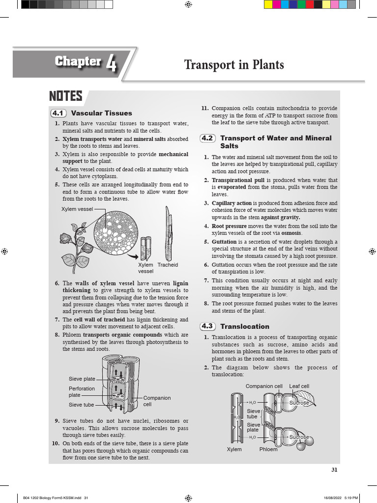 B04 1202 Biology Form5 KSSM | PDF | Leaf | Tissue (Biology)