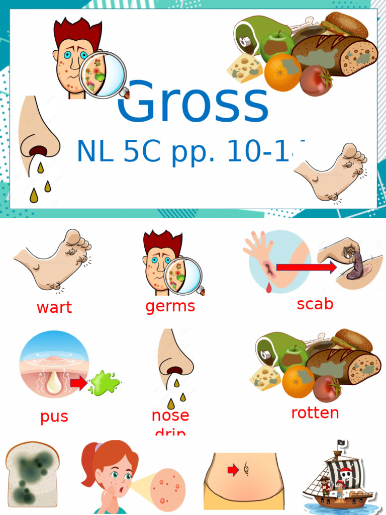 Gross 2 | PDF