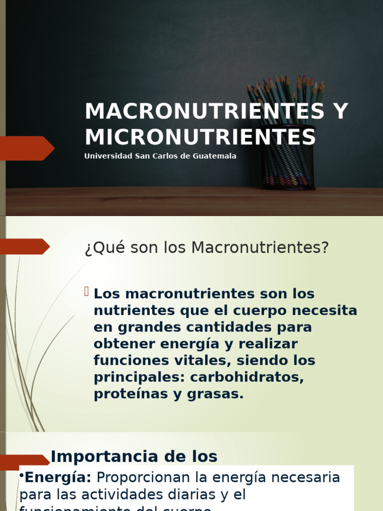 Presentacion de Macros y Micros | PDF