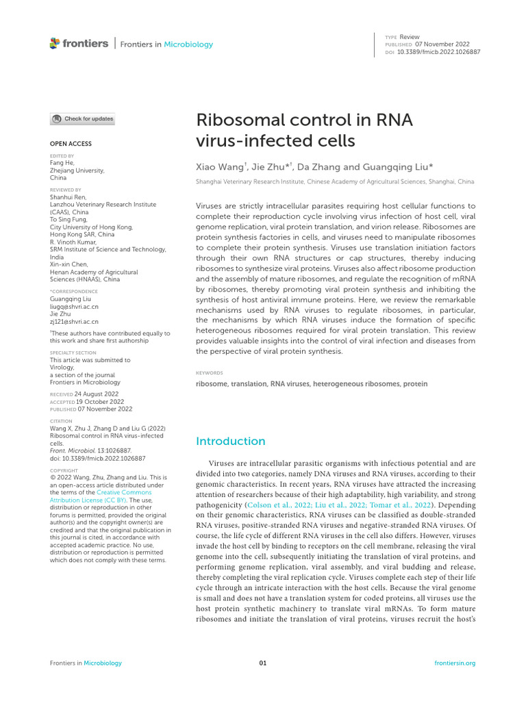 Ribosomal control in RNA virus-infected cells | PDF | Ribosome | Translation (Biology)