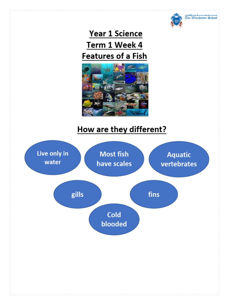 Fish Worksheet | PDF