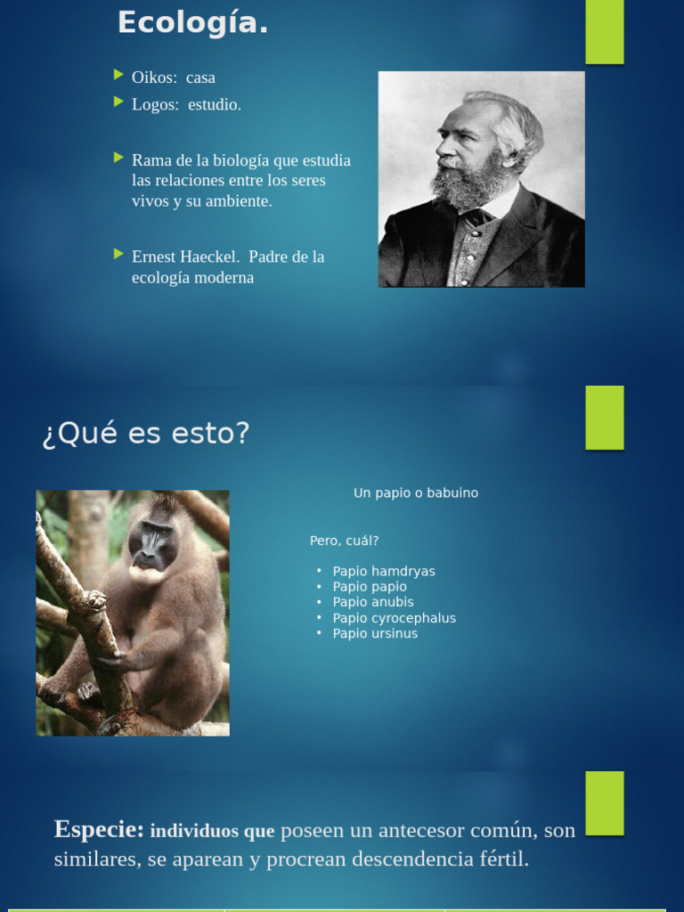 Conceptos Basicos Ecologia 2024 | PDF | Nicho ecológico | Ecosistema