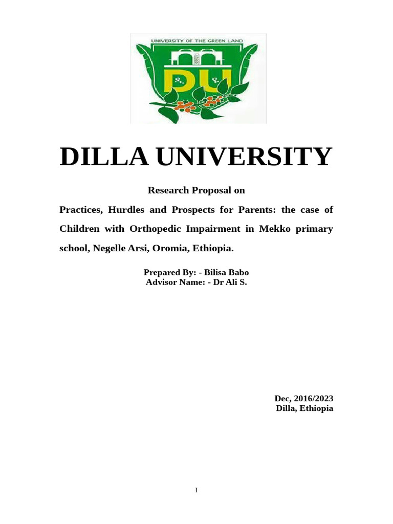 Bilisa's proposal edited (1) | PDF | Disability | Mental Health