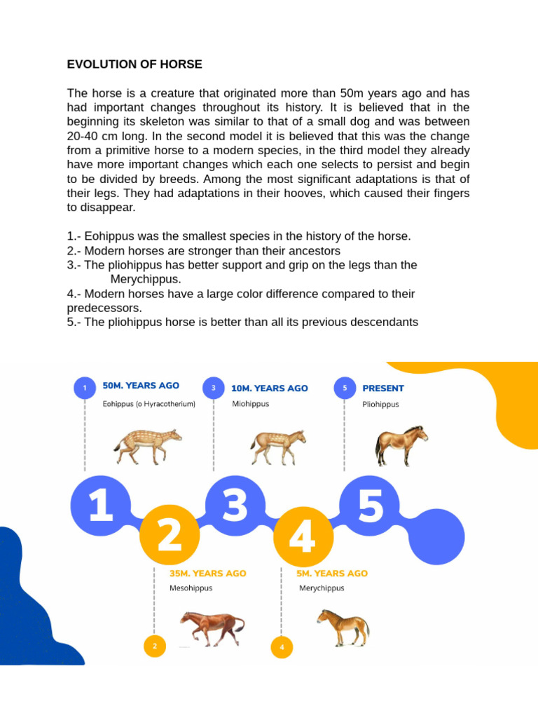 Evolution Horse | PDF