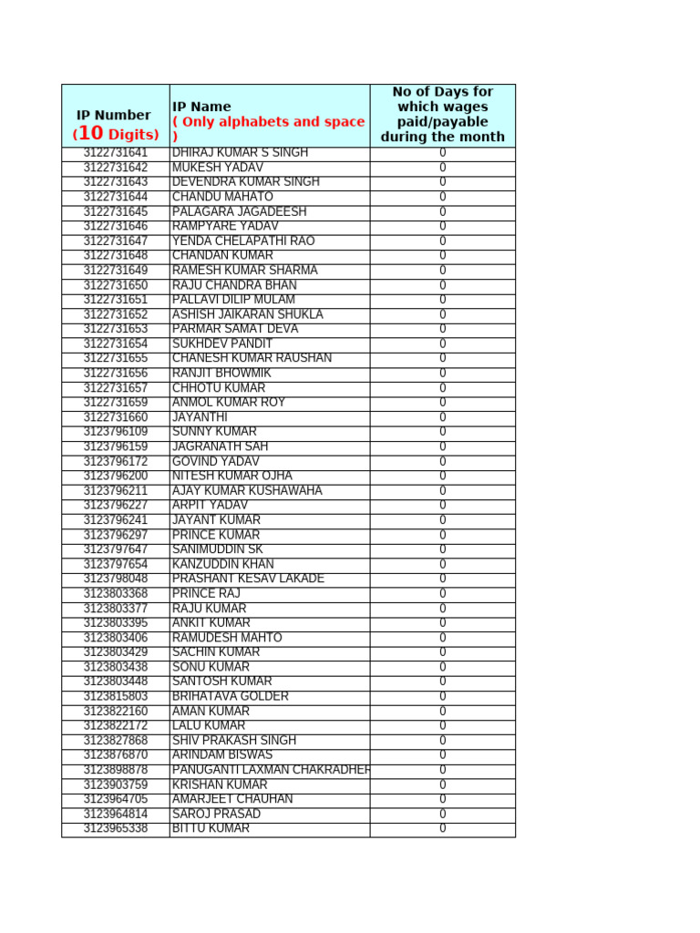 Monthly Wage Records and Details | PDF | Microsoft Excel | Integer