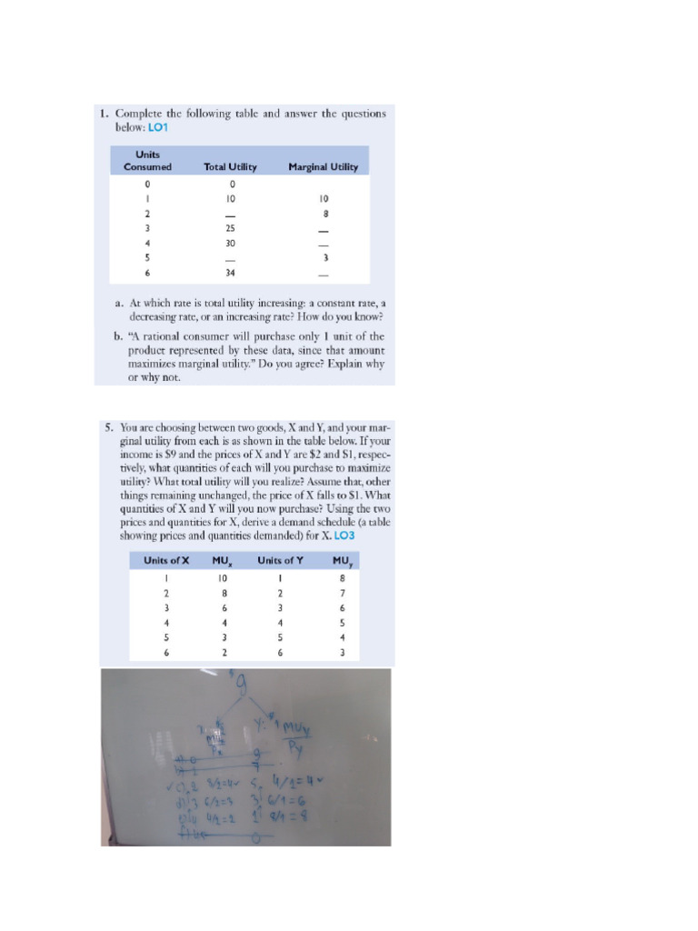 Answer For Consumer Choice | PDF