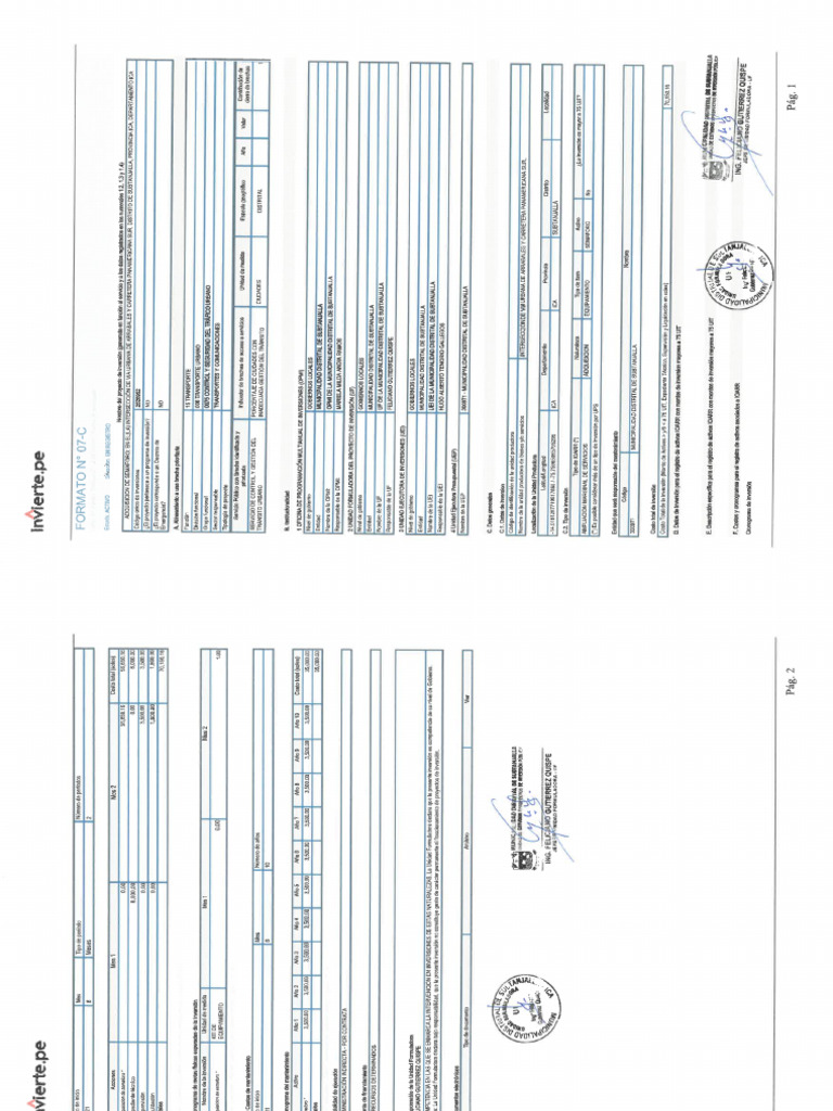 Formato 12 Pdf