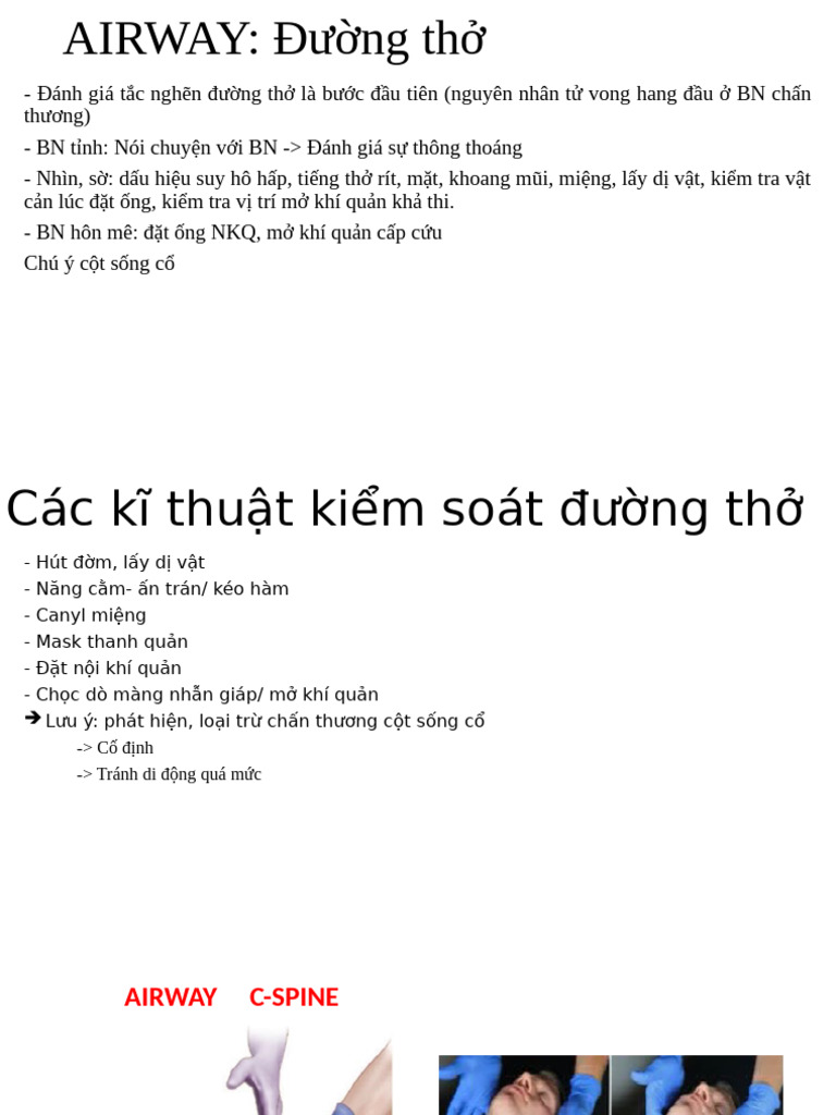 Airway | PDF
