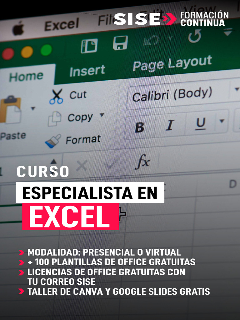 Especialista en Excel | PDF | Microsoft Excel | Visual Basic para ...