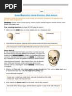 Student Exploration: Human Evolution - Skull Analysis | PDF | Homo ...