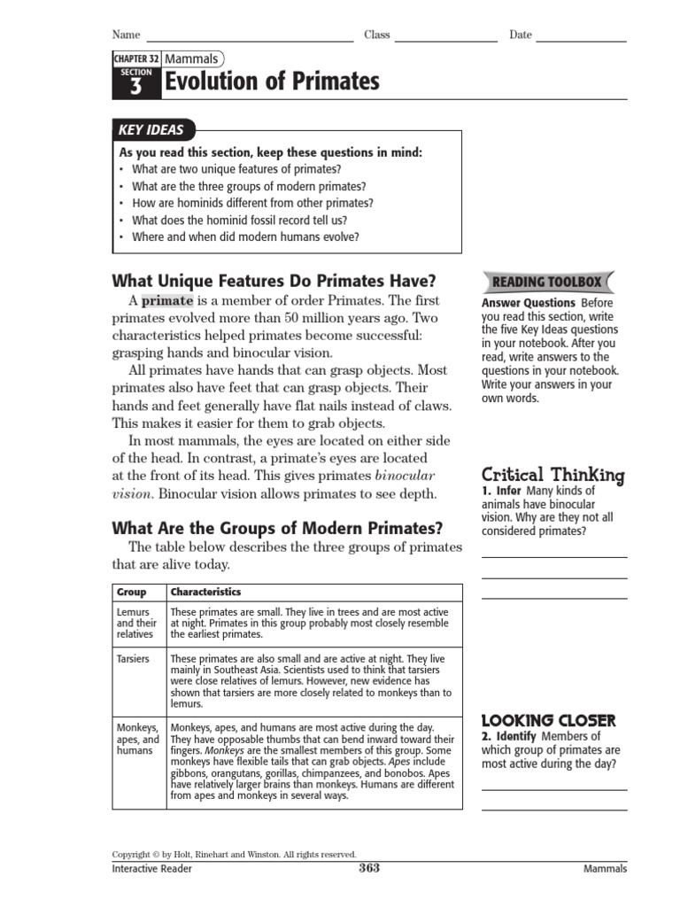 Evolution 4 Evolution of Primates | PDF | Homo | Hominidae