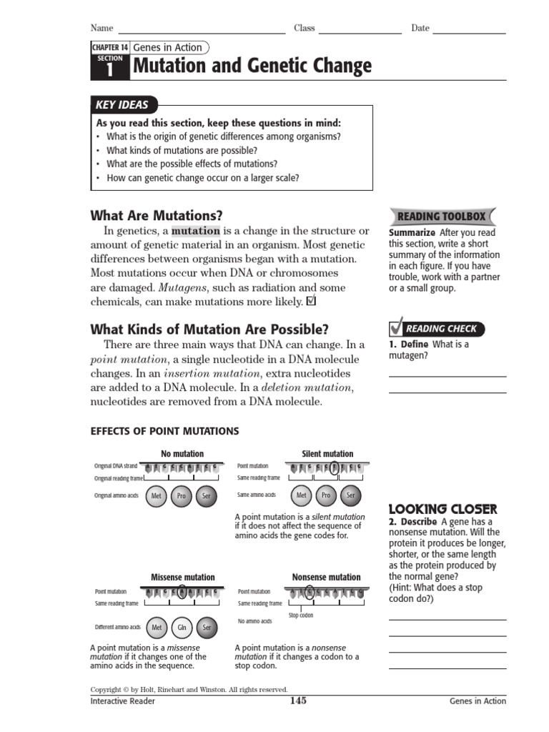 GENETICS 1 Mutation & Genes | PDF | Mutation | Point Mutation
