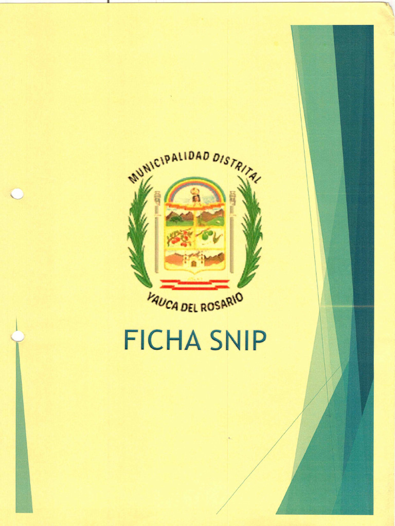 FICHA+SNIP_20250307_154738_545 | PDF