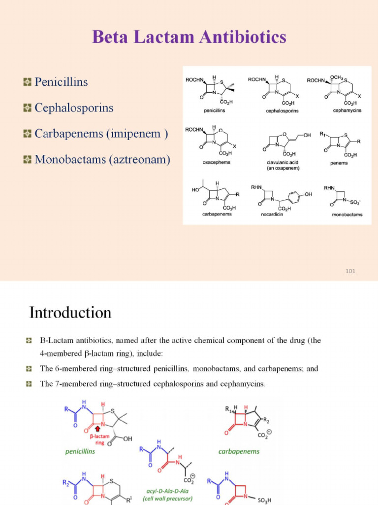 2.other Beta Lactam Antibiotics | PDF