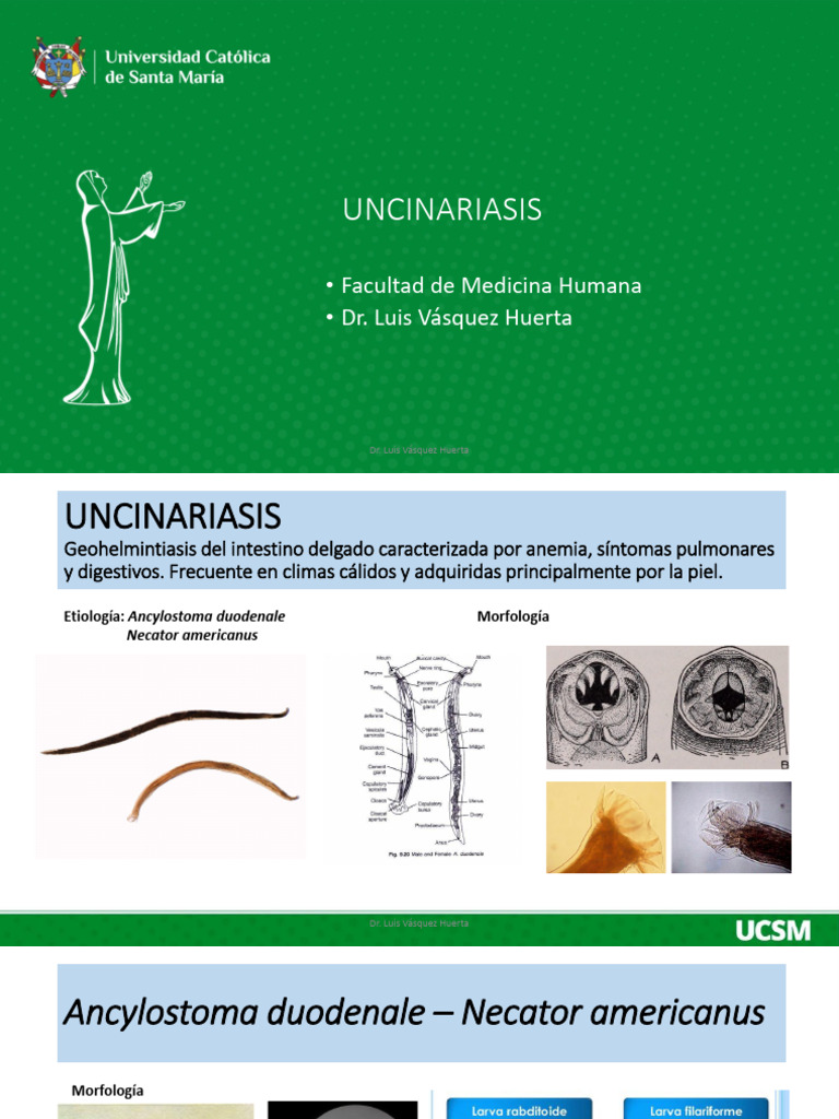 UNCINARIASIS | PDF | Enfermedades y trastornos | Inmunología