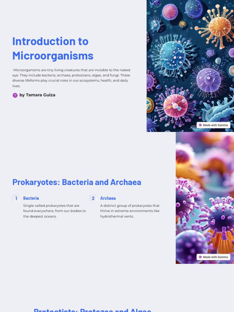Introduction To Microorganisms | PDF | Bacteria | Protozoa