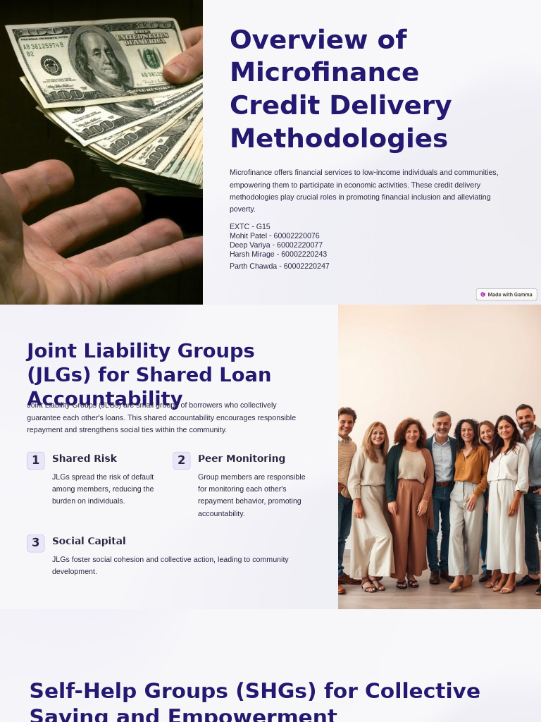 Overview of Microfinance Credit Delivery Methodologies | PDF ...