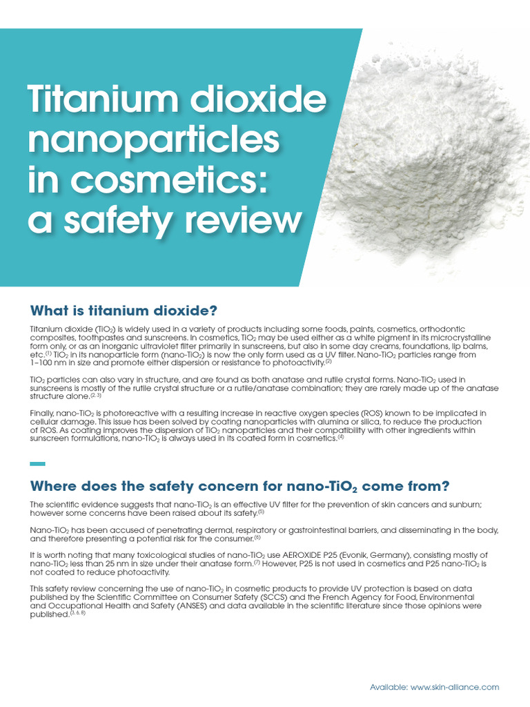 Titanium Dioxide Execsummary Pdf Titanium Dioxide 4132