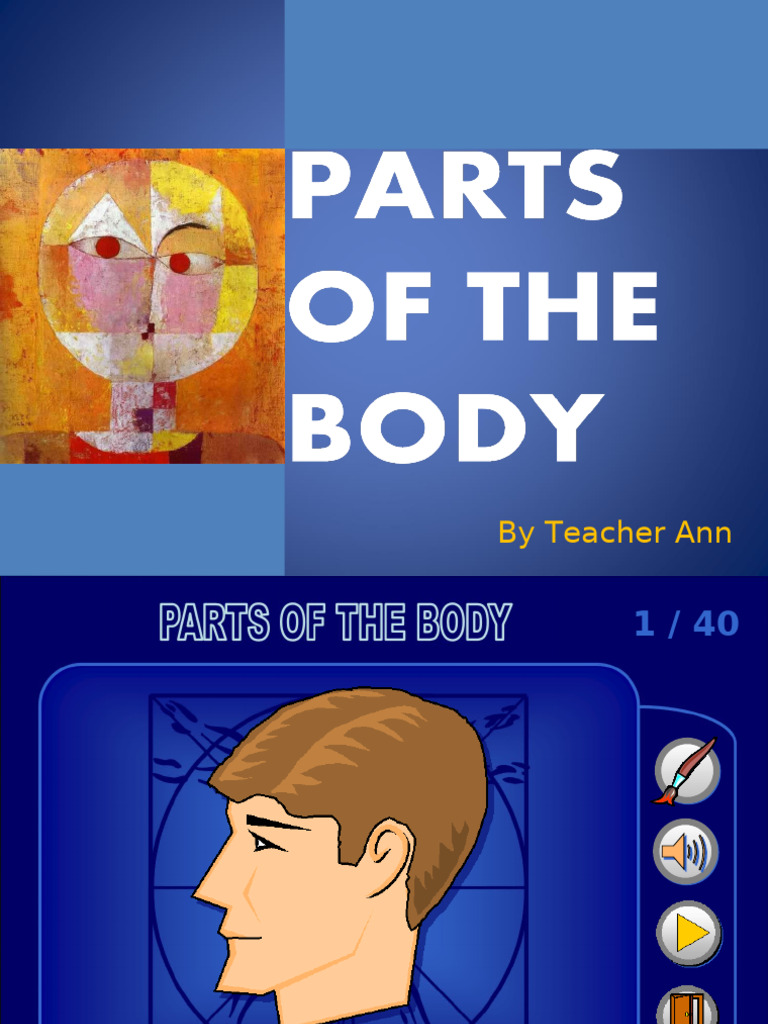 Body Parts Vocabulary List | PDF