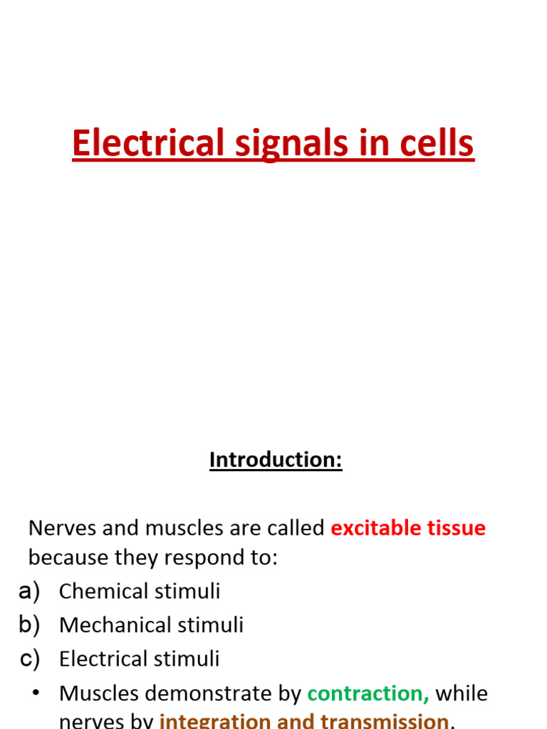 Electrical Signals in Excitable Cells | PDF | Action Potential ...