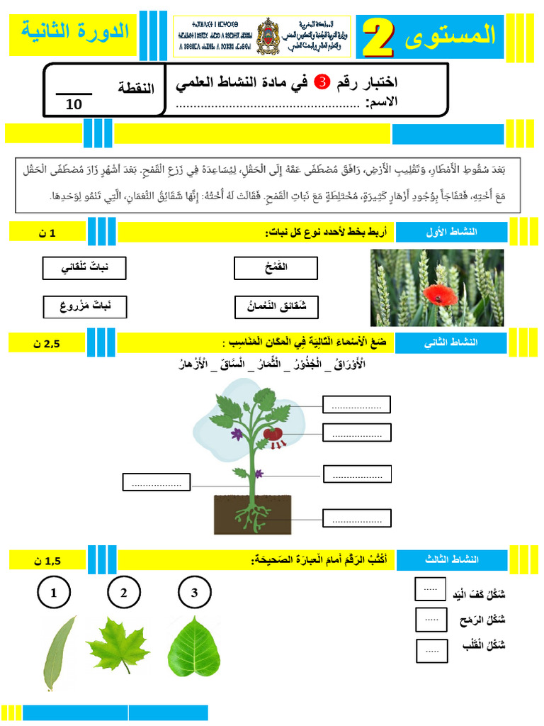 cc3 - Act Sci 2aep Modele 3 | PDF