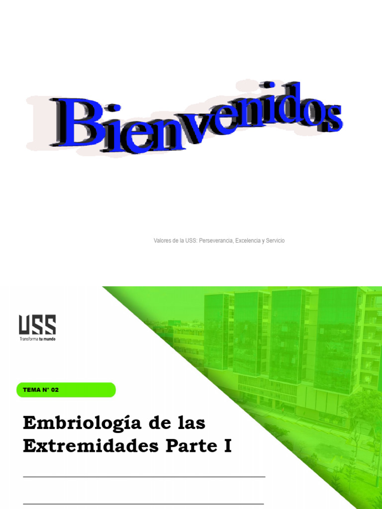 EMBRIOLOGIA DE LAS ARTICULACIONES y MS | PDF | Cartílago | Hueso