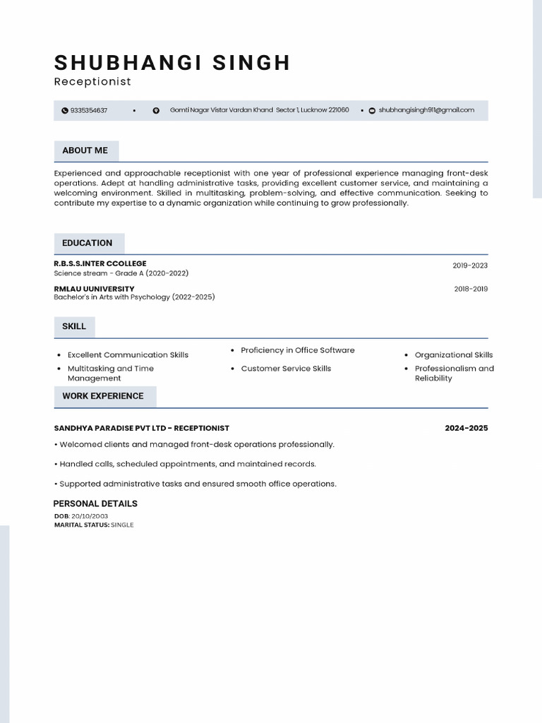Blue and White Clean Professional A4 Resume | PDF