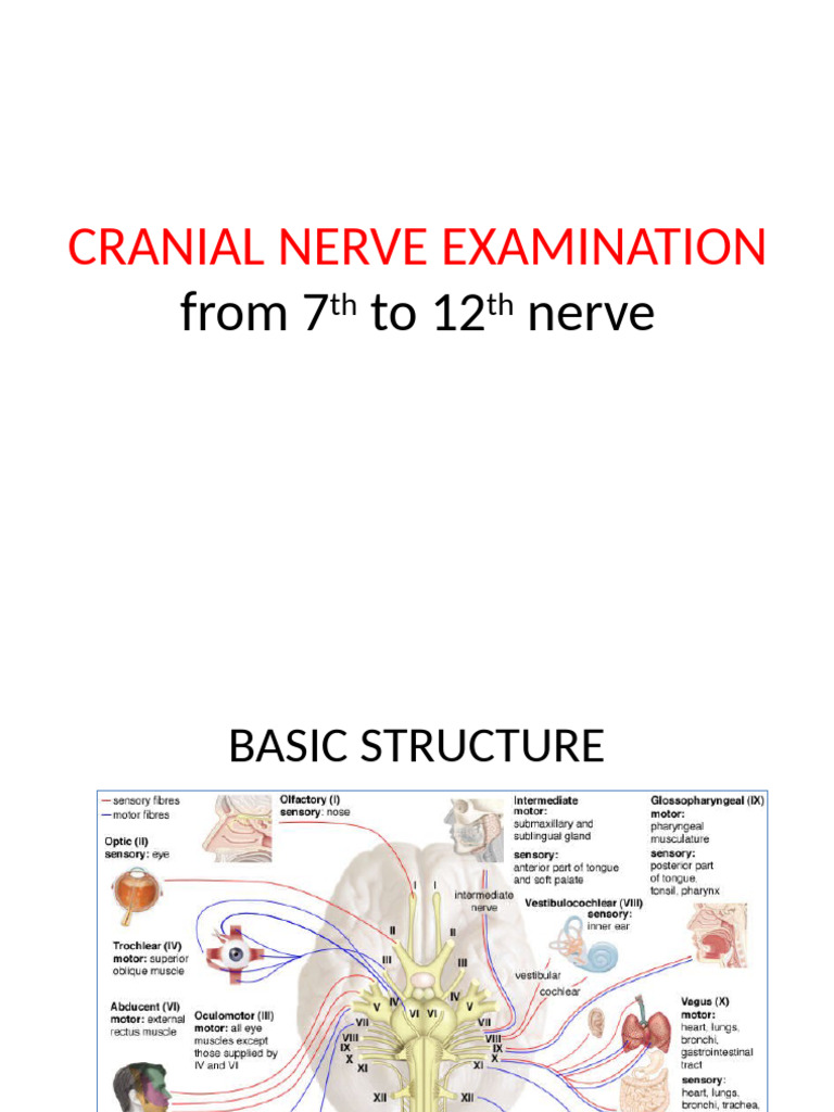 Cranial Nerve Examination: CN 7-12 Guide | PDF | Taste | Vertigo
