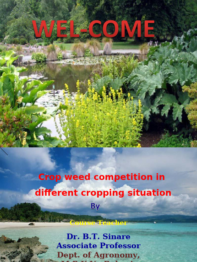 Crop Weed Competition and Weed Shift | PDF | Weed | Soil