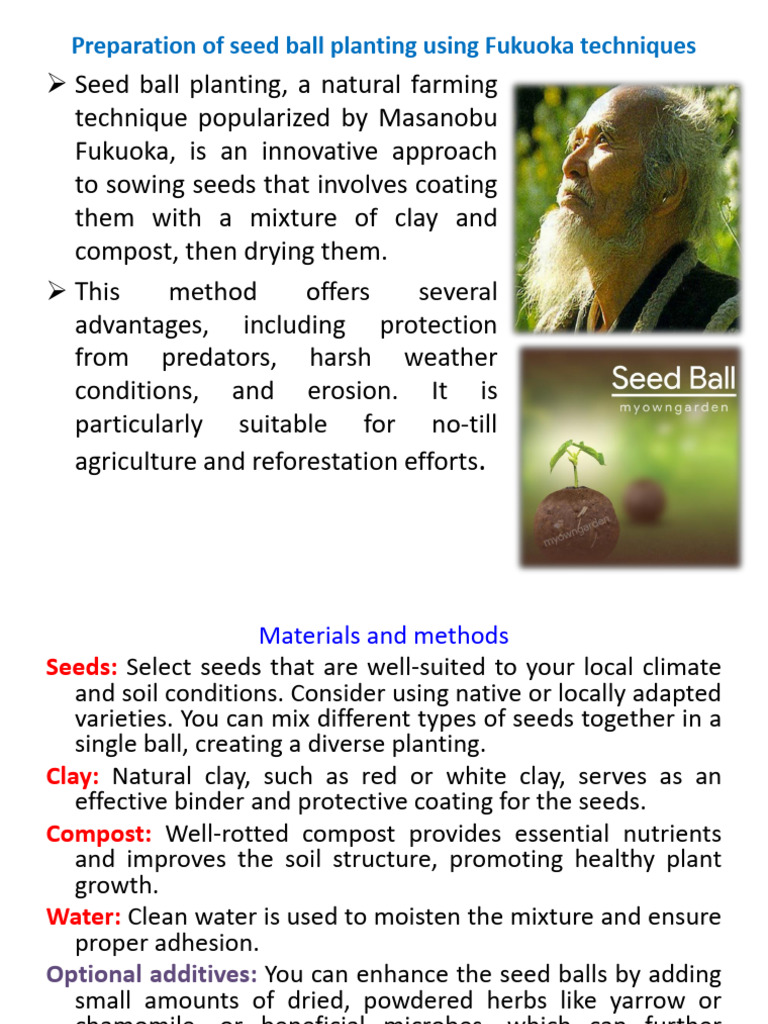 Preparation of Seed Ball Planting Using Fukoka Techniques | PDF ...