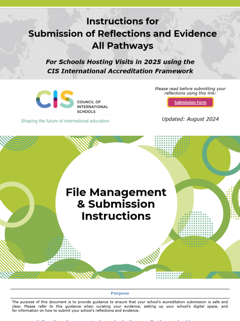 Reflection Submission Instructions (August 2024) | PDF | Computer File | Password