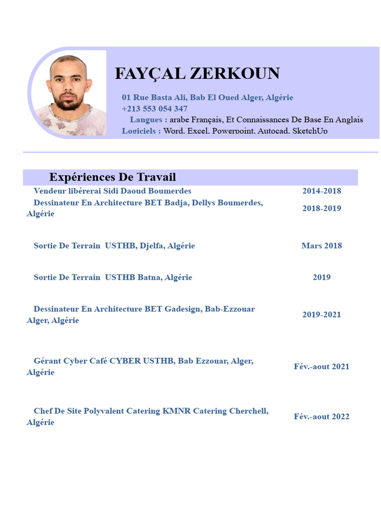 Parcours professionnel de Fayçal Lalioui | PDF | Alger | Algérie