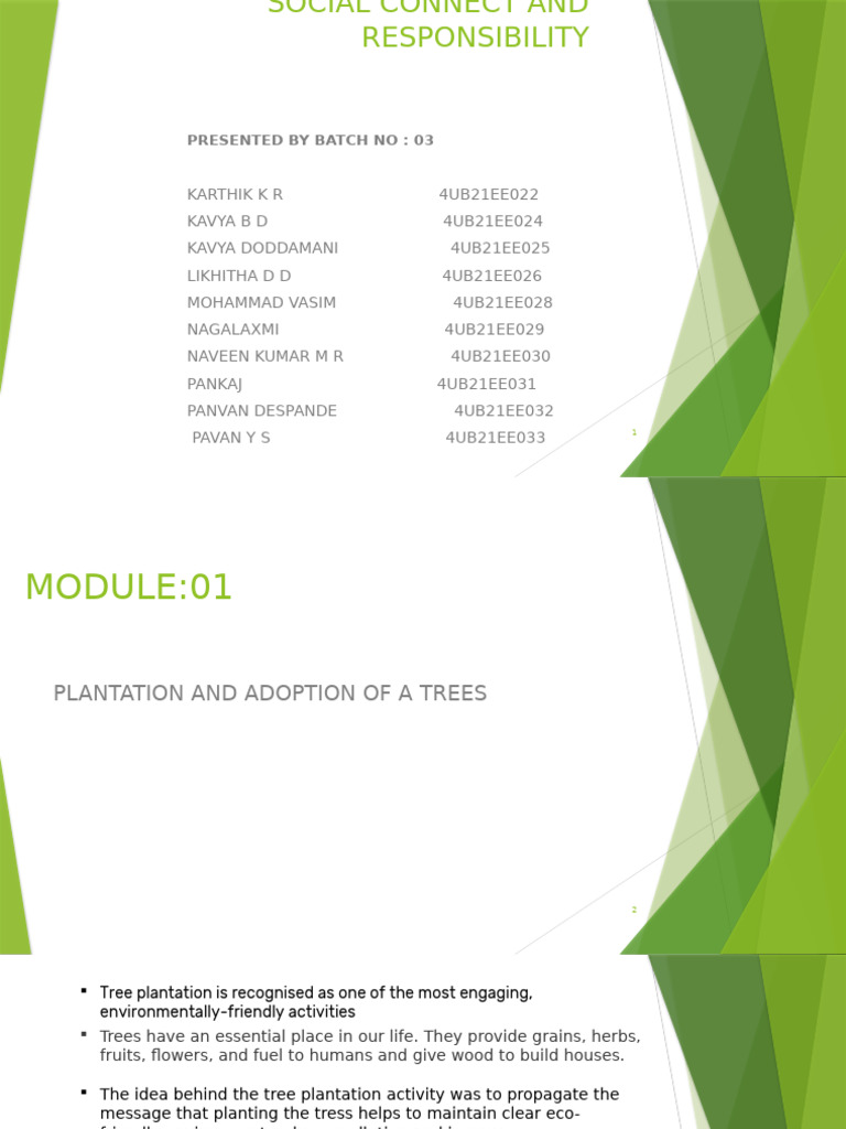 SCR PPT Representation | PDF
