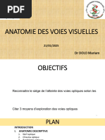 ANATOMIE DU TRACTUS OPTIQUE Zio | PDF | Thalamus | Système nerveux