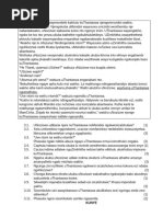 UMENDO - Final | PDF