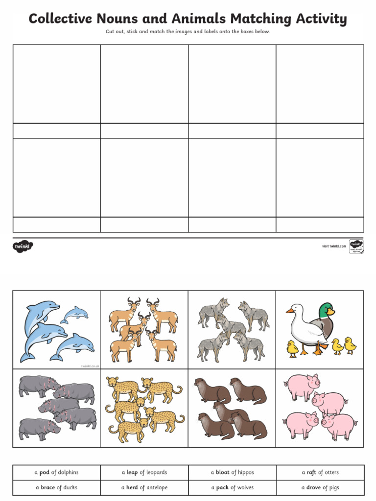 T-Sc-078-Collective-Nouns-Groups-of-Animals-Activity-Sheet_ver_1 | PDF