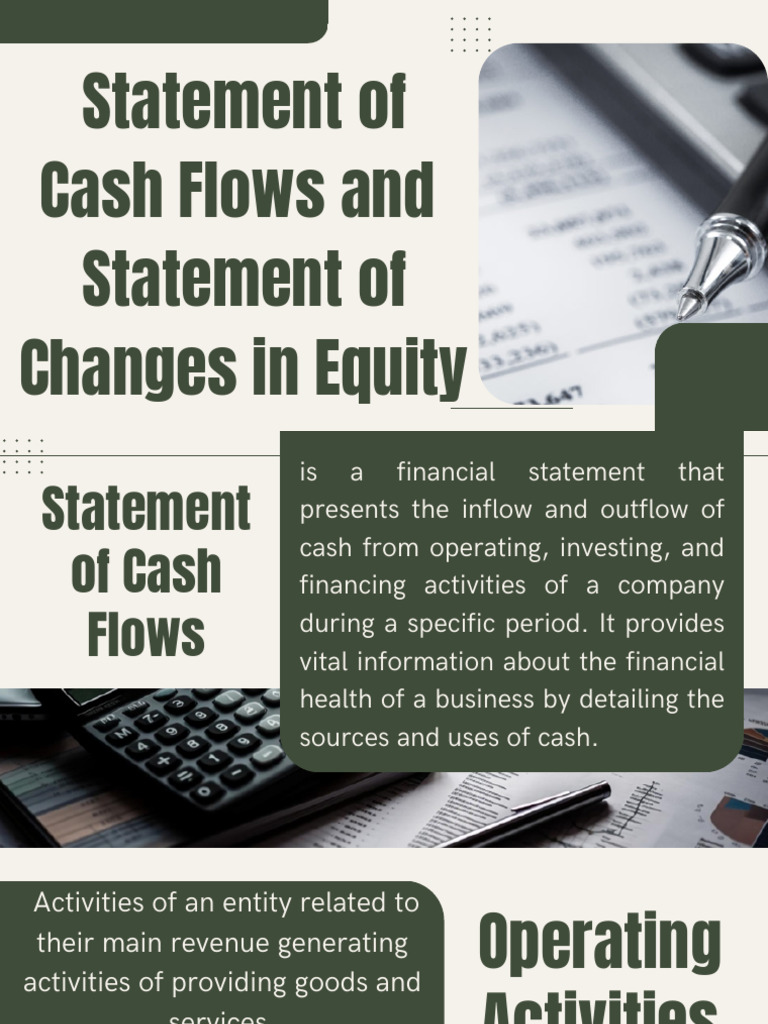 Cash Flow and Equity Change Statements | PDF | Balance Sheet | Revenue