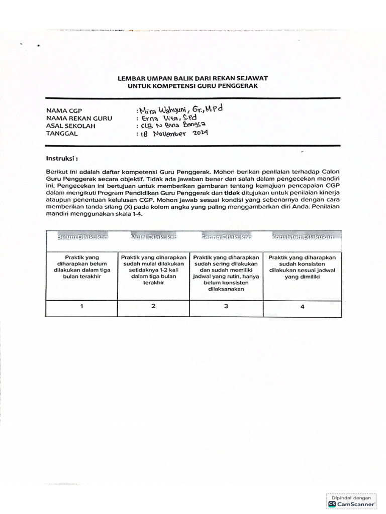 Umpan Balik Rekan Sejawat - Erna Vita | PDF